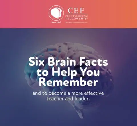 Improve Your Memory with These Six Brain Facts