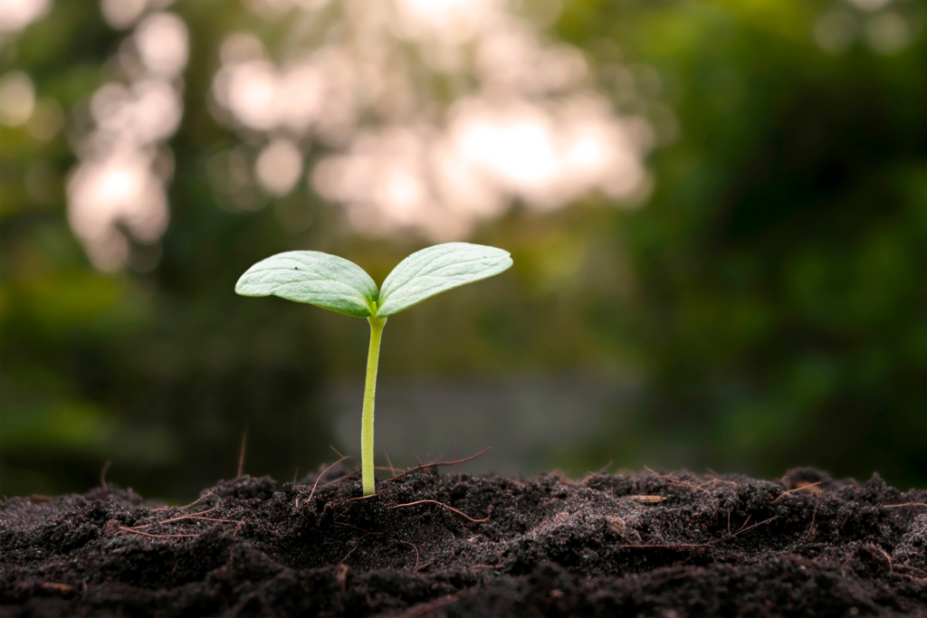 Teach Your Child the Elements of Spiritual Growth